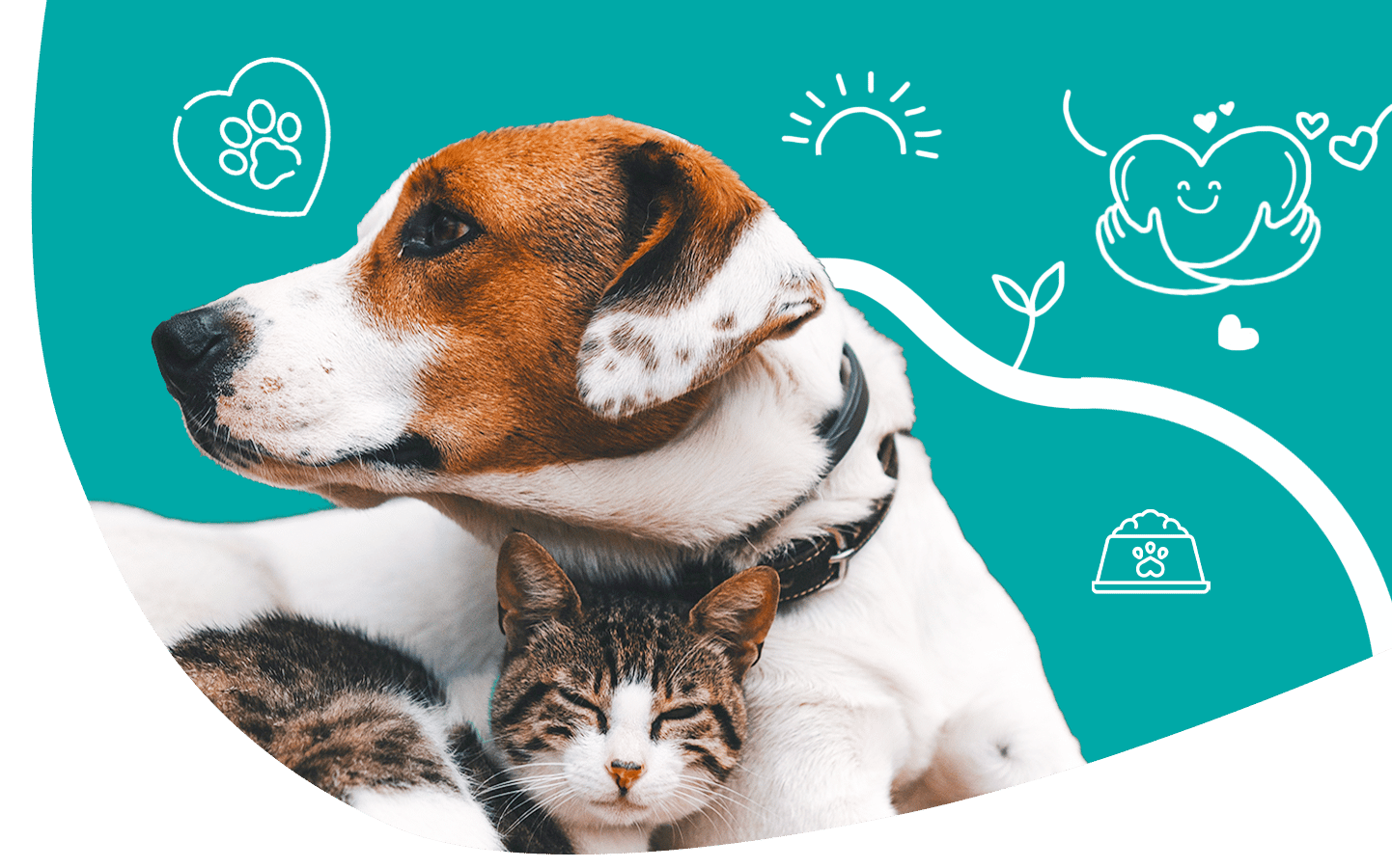 Plan Bronce | veterokpc.com